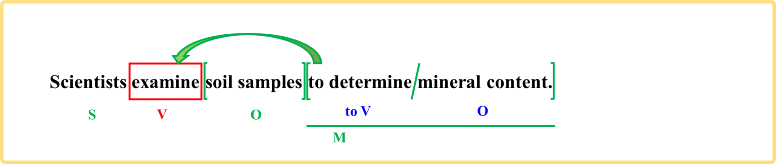 examine - 調査する、検査する - ScientificVerse