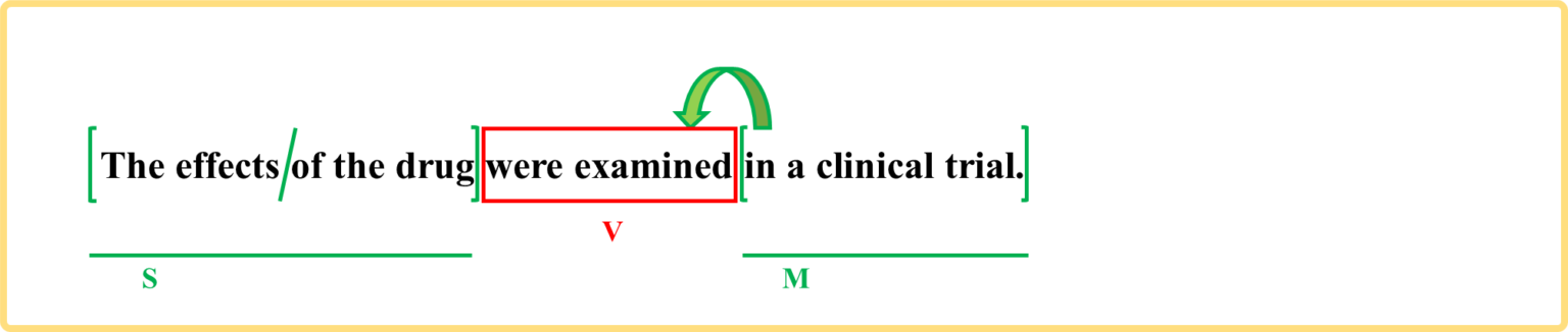 examine - 調査する、検査する - ScientificVerse